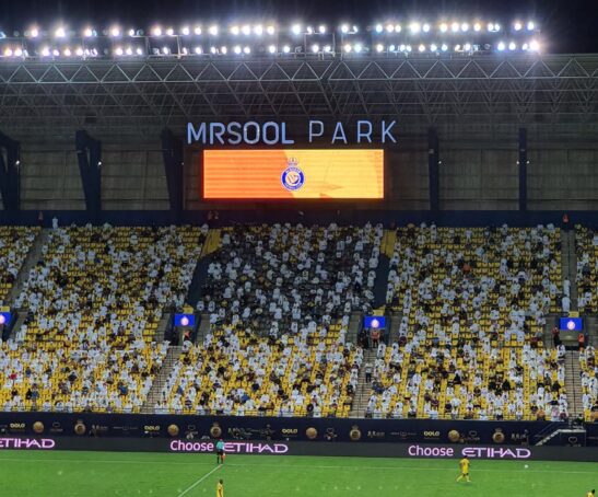 Projects – Screen World